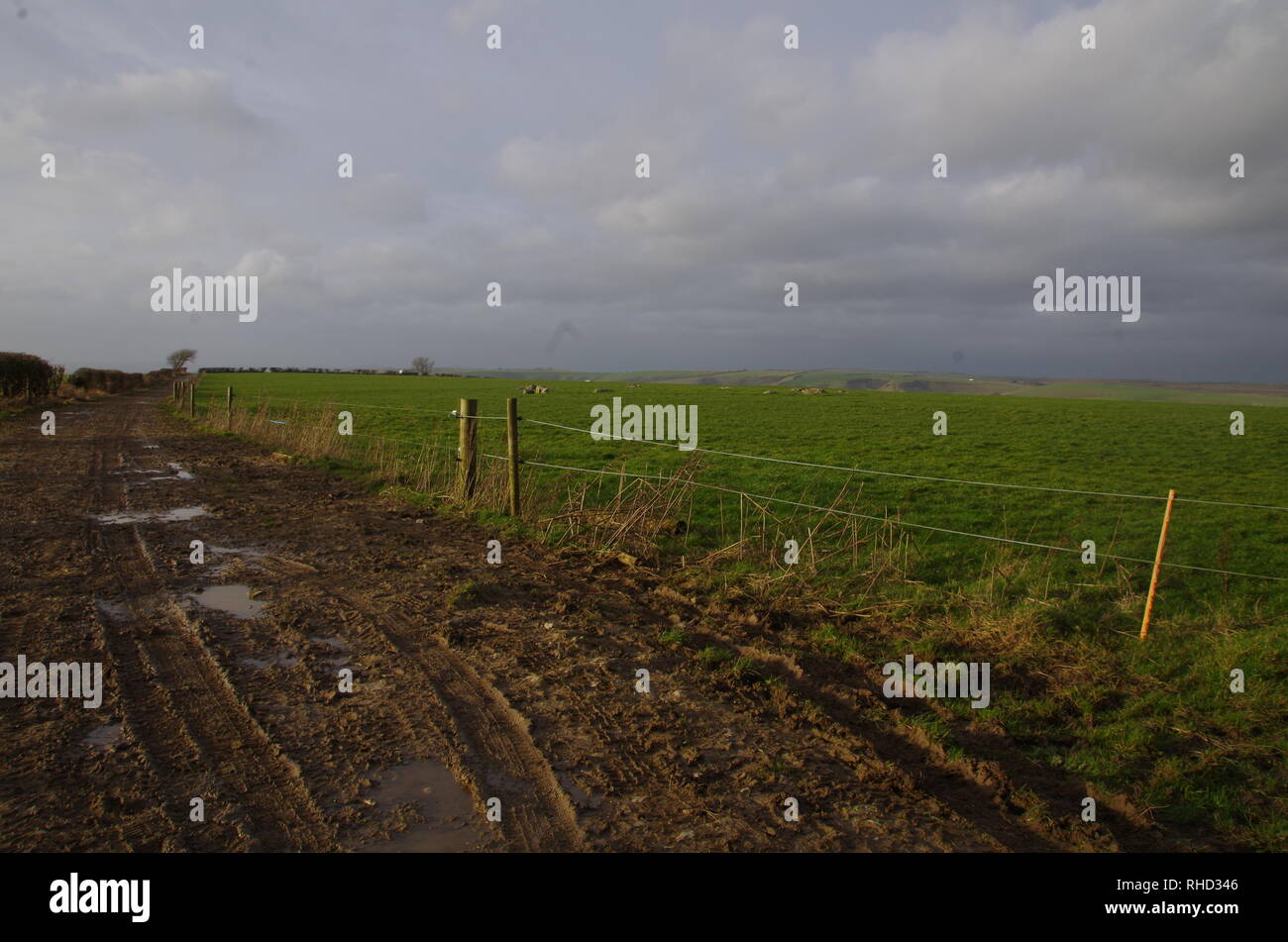 The Macmillan Way. Long-distance trail. Dorset. England. UK Stock Photo ...