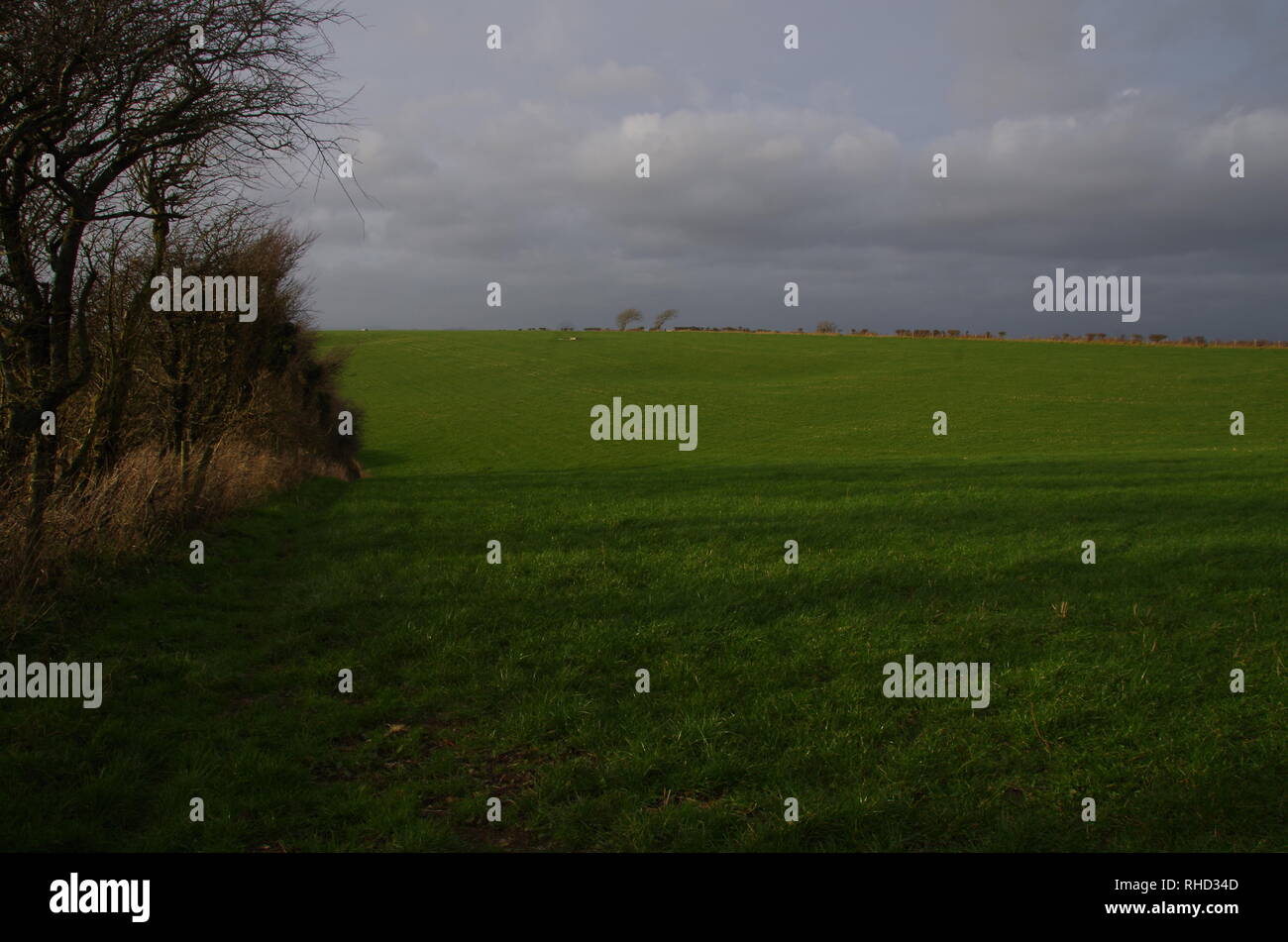 The Macmillan Way. Long-distance trail. Dorset. England. UK Stock Photo ...