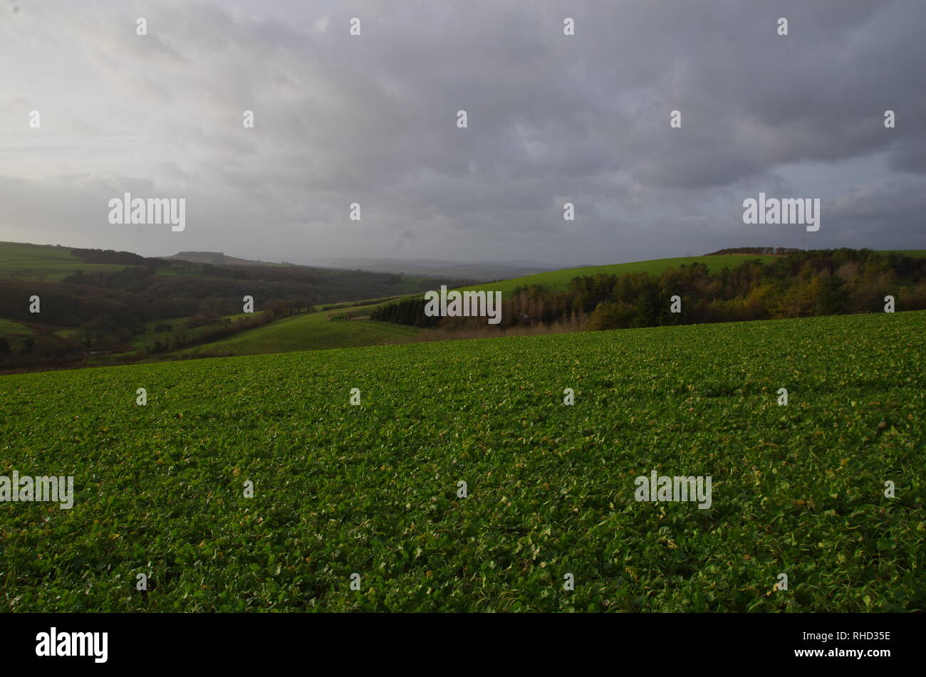 The Macmillan Way. Long-distance trail. Dorset. England. UK Stock Photo ...