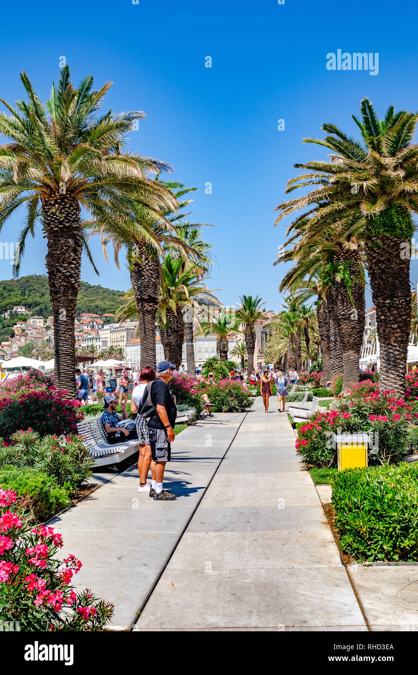 The embankment of the resort town of Split in summer Stock Photo - Alamy