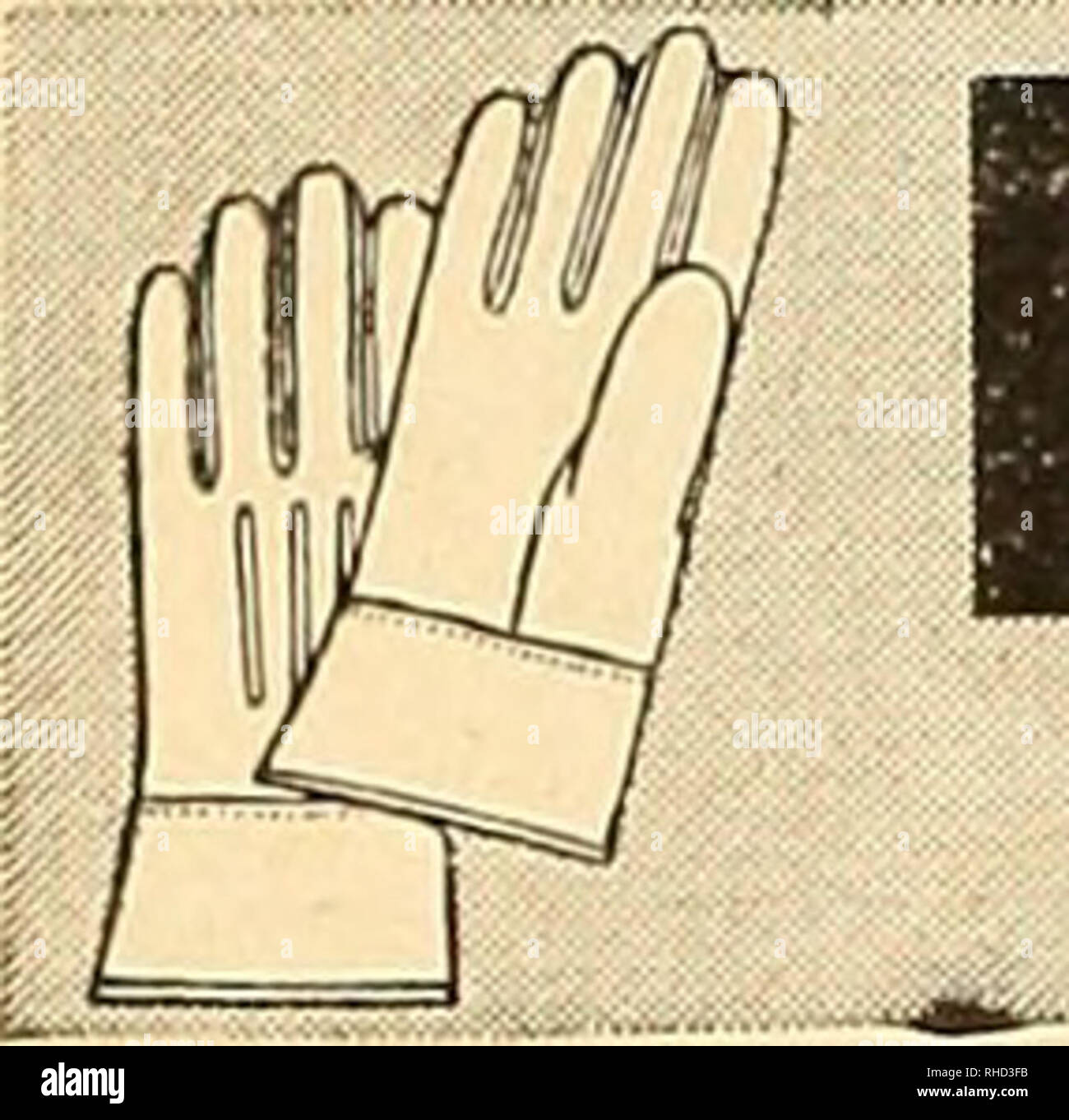 Short coupled hi-res stock photography and images - Alamy