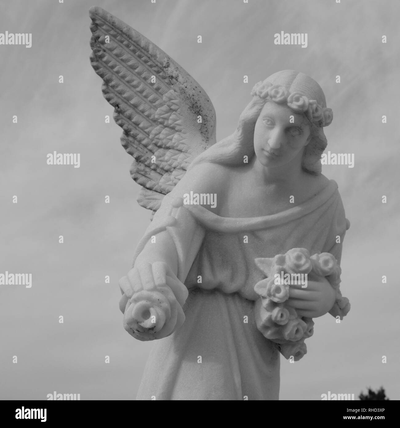 Symbols of lisbon Black and White Stock Photos & Images - Alamy