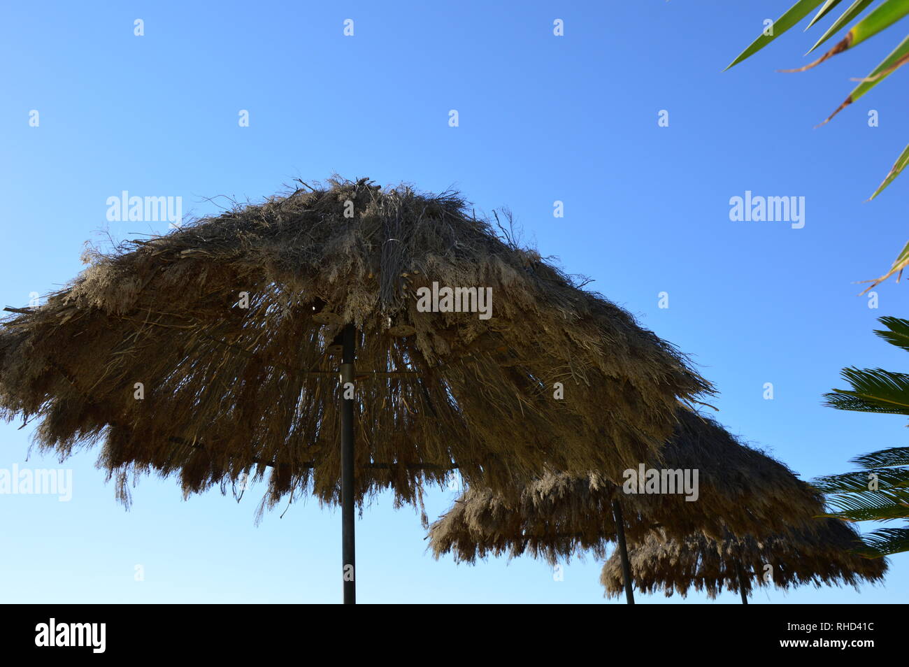 Palm leaf beach umbrella hi-res stock photography and images - Alamy
