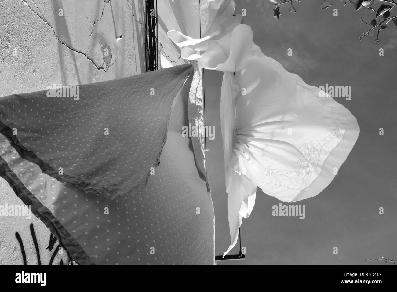 Pure white sheets hanging out to dry on a windy day on a washing line ...