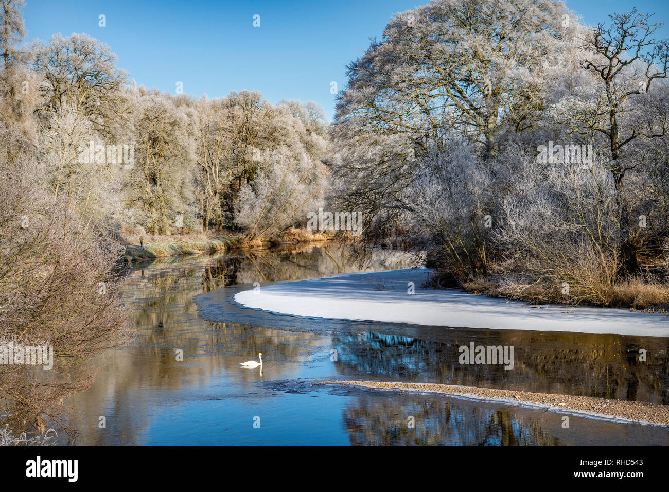 River Teviot High Resolution Stock Photography and Images - Alamy
