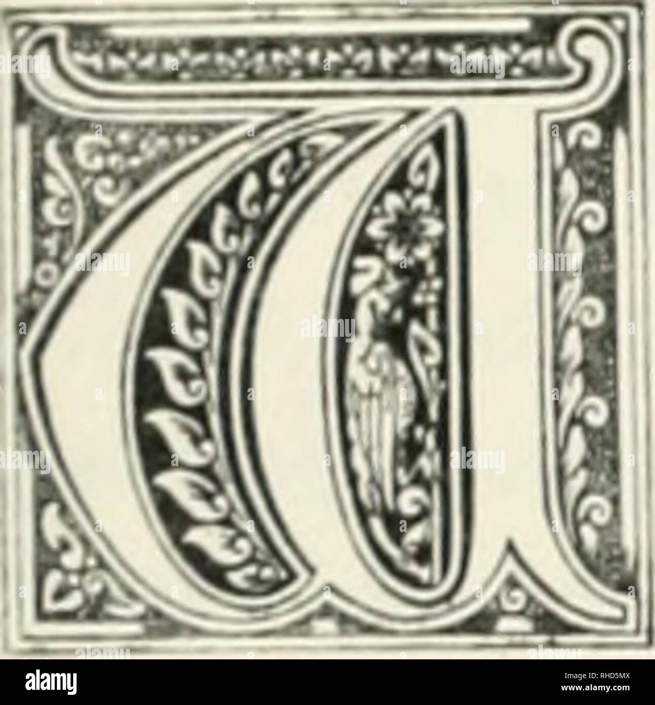 Dogmatically hi-res stock photography and images - Alamy