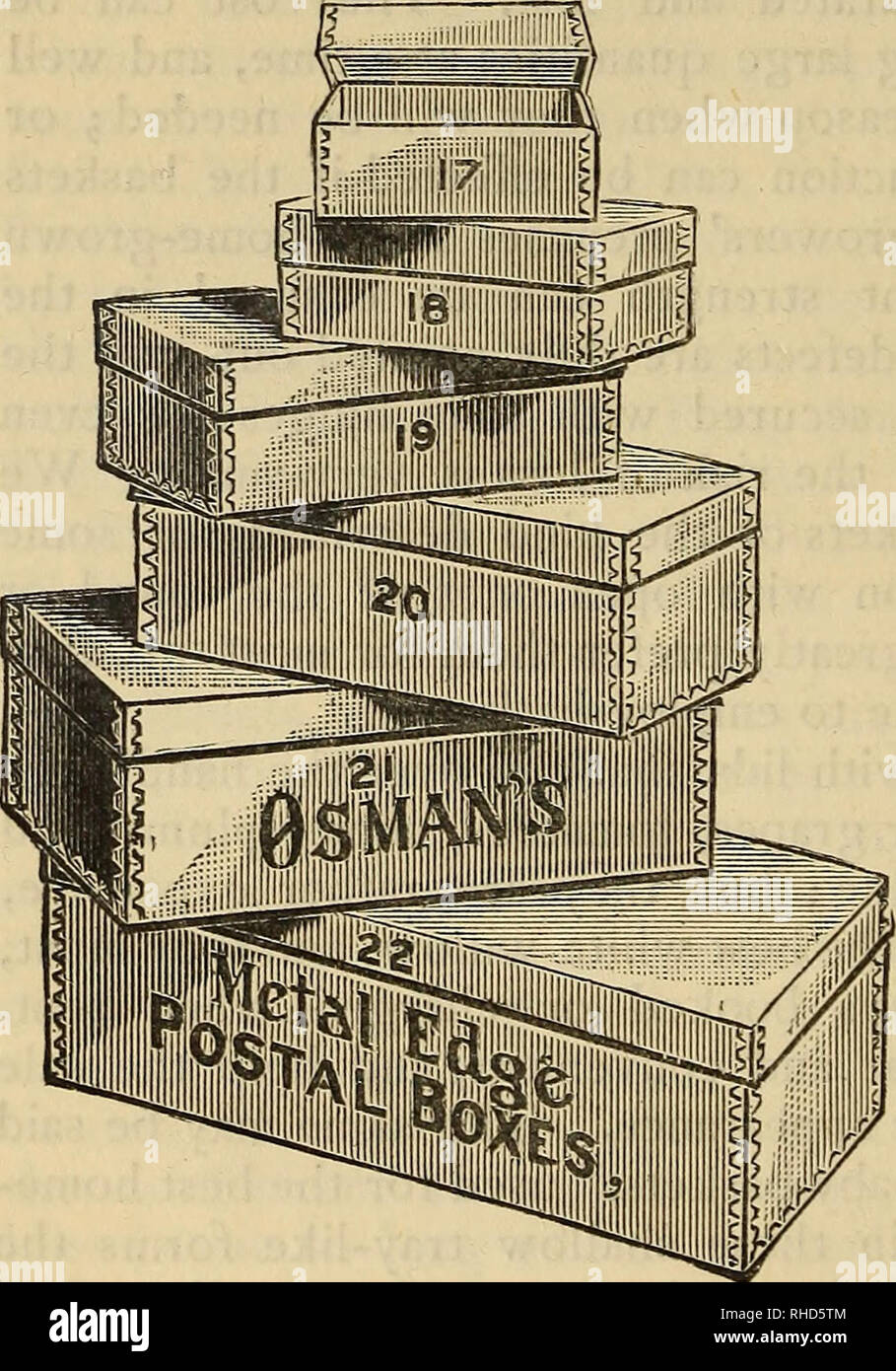 2 punnets of strawberries hi-res stock photography and images - Alamy
