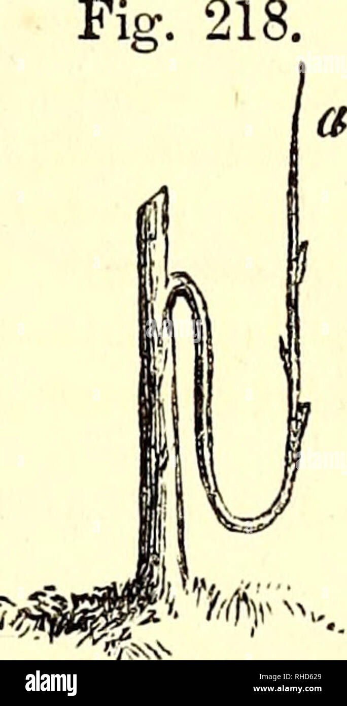 Inverted syphon hi-res stock photography and images - Alamy