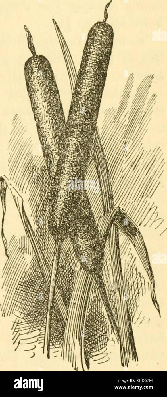 Chinks in wall hi-res stock photography and images - Alamy