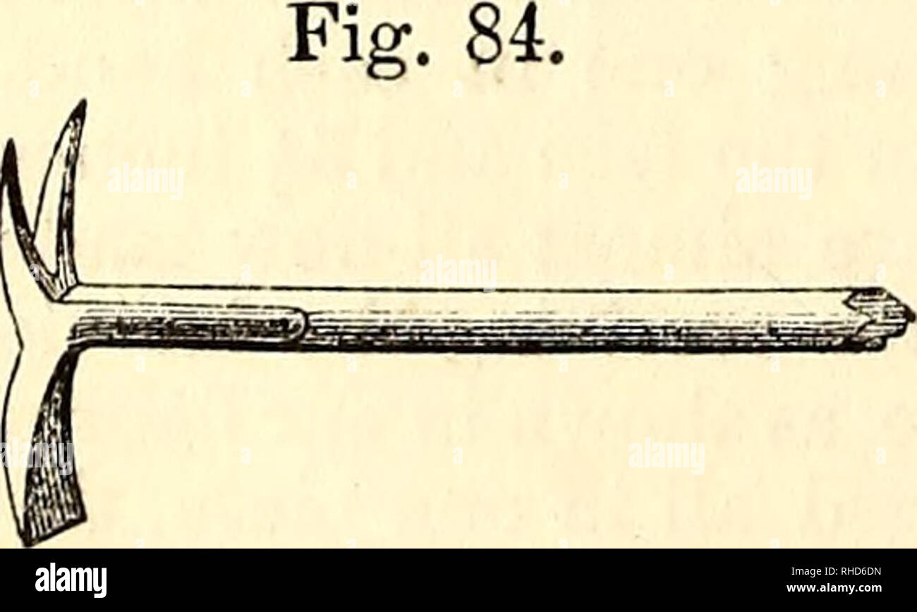 . The book of the garden. Gardening. 208 CULINARY OR KITCHEN GARDEN ...