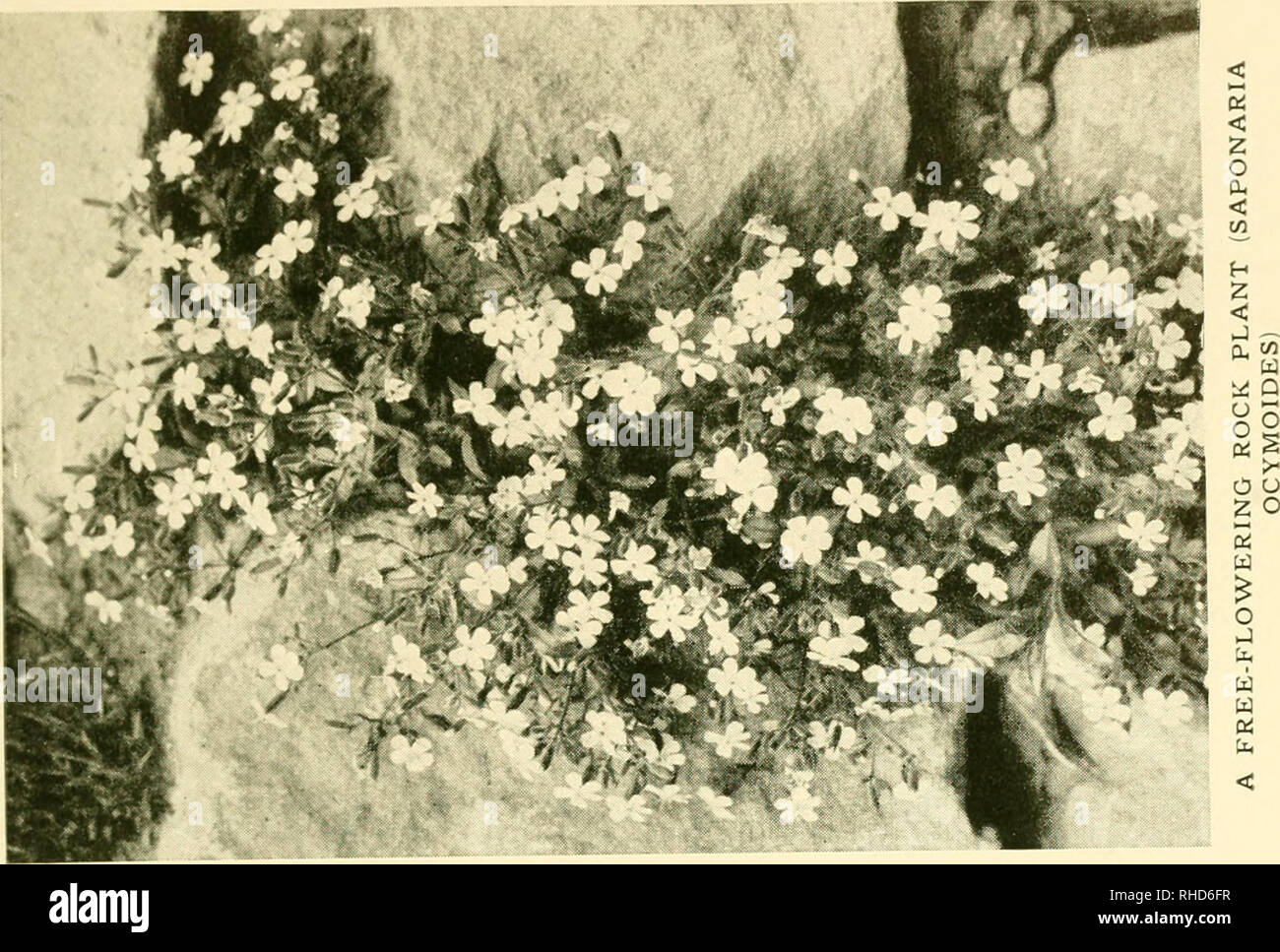 J h funk hi-res stock photography and images - Alamy