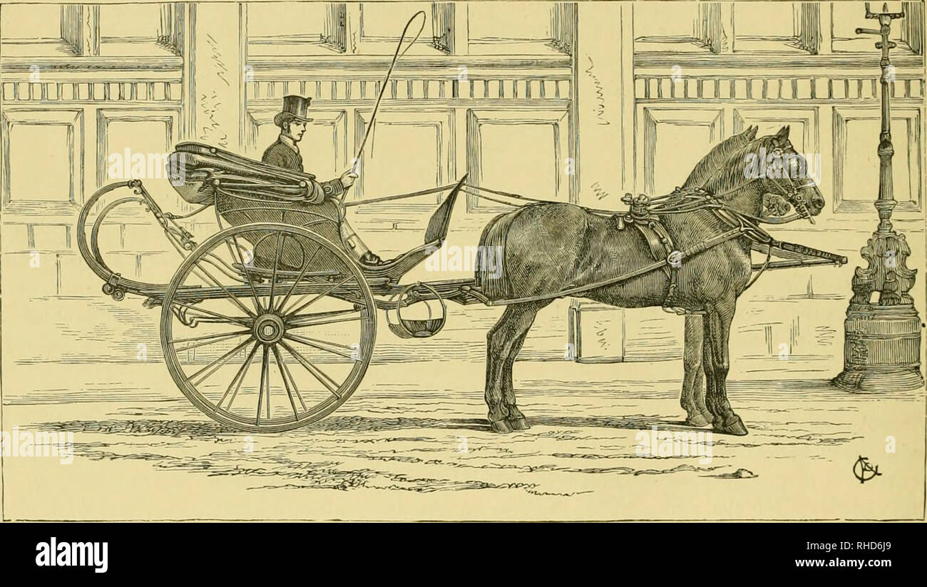 Curricle carriage hi-res stock photography and images - Alamy