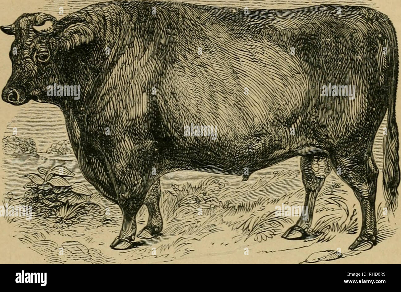 John plowman hi-res stock photography and images - Alamy