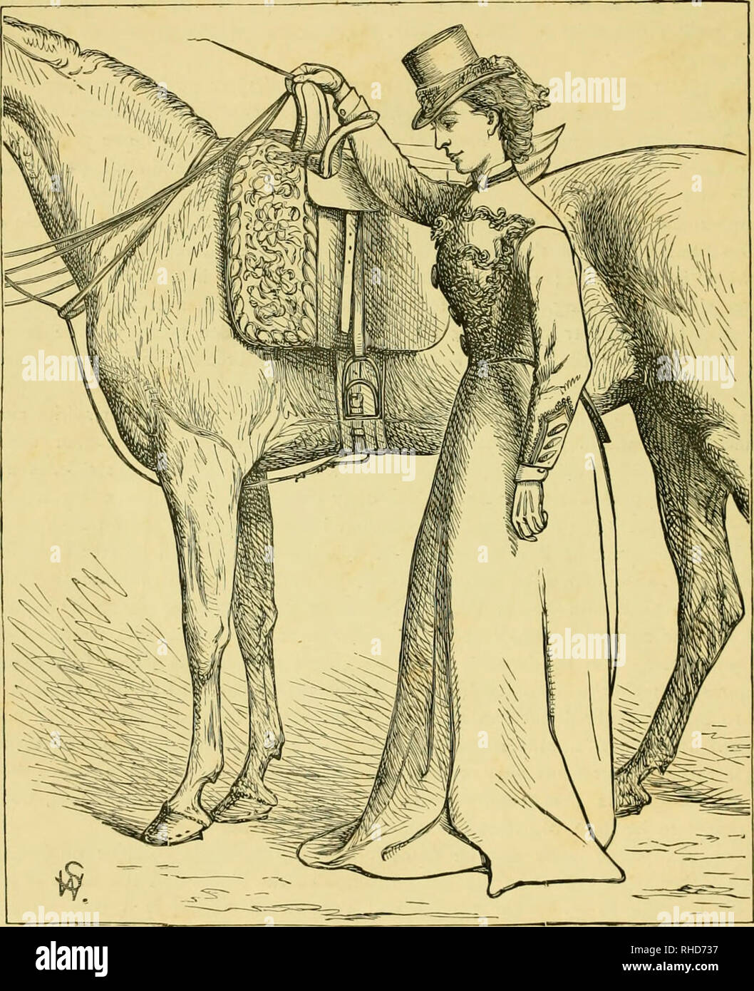 Woman mounting horse hi-res stock photography and images - Alamy