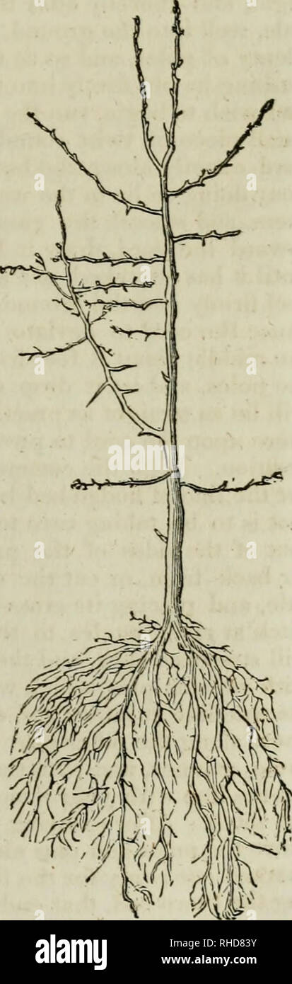 John plowman hi-res stock photography and images - Alamy