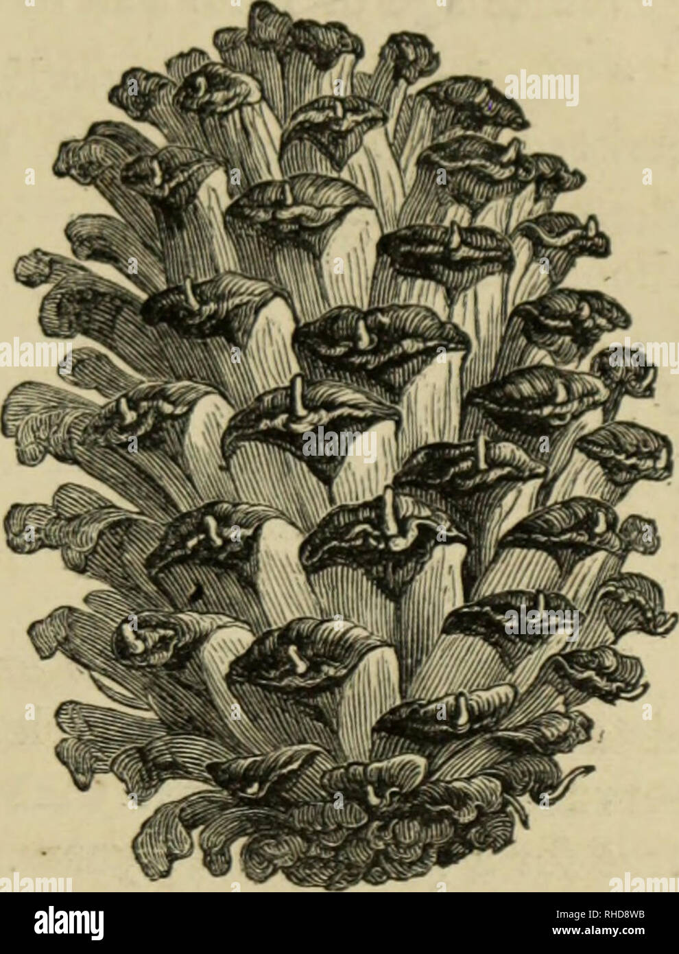 Topa topa mountains hi-res stock photography and images - Alamy