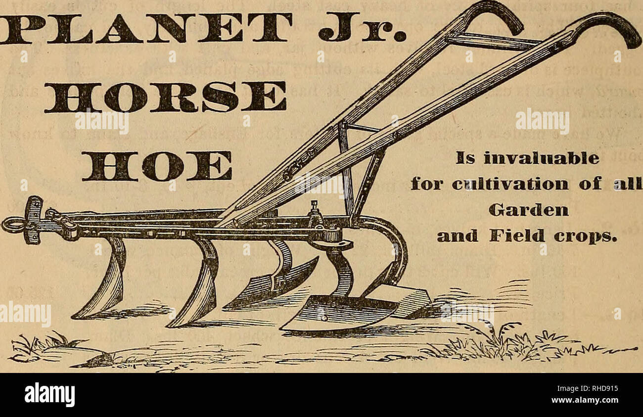 Ensilage cutter hi-res stock photography and images - Alamy