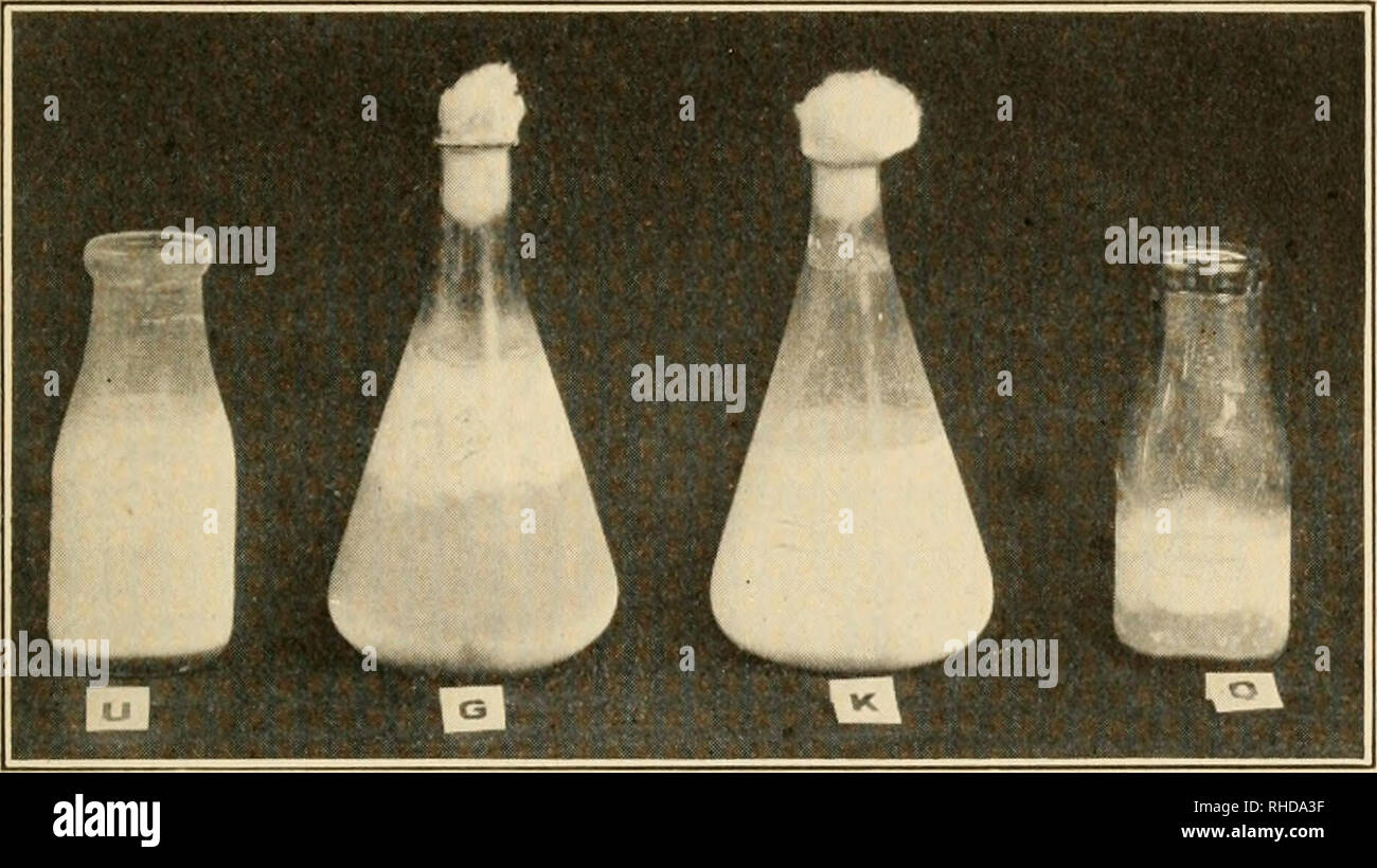 Solid curds hi-res stock photography and images - Alamy