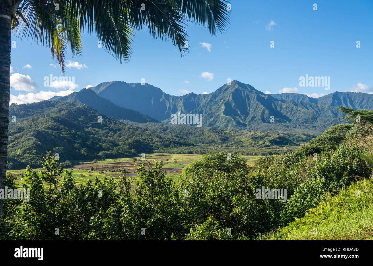 Hanalei valley from princeville hi-res stock photography and images - Alamy