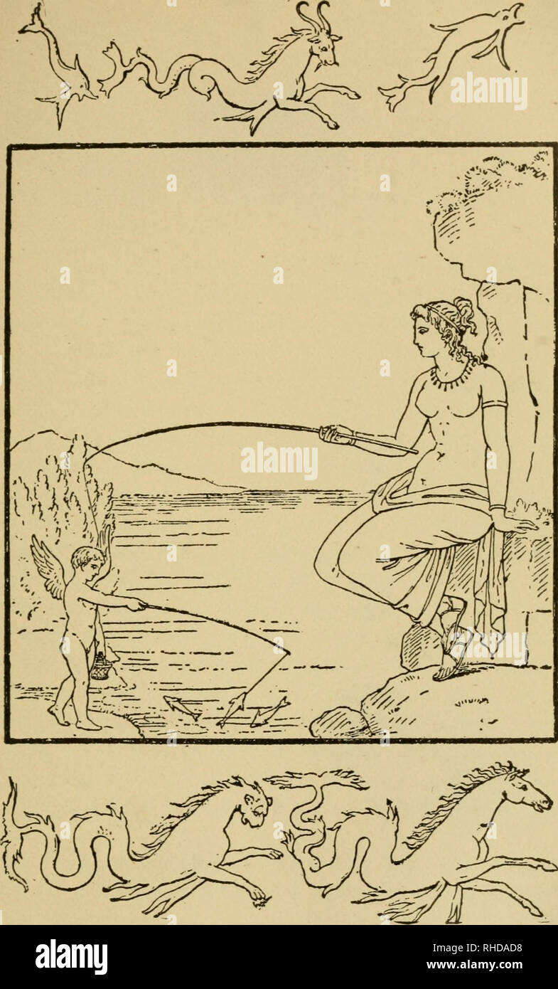 . Book of the black bass. Black bass; Bass fishing. £LJ^-. VENUS AND ...