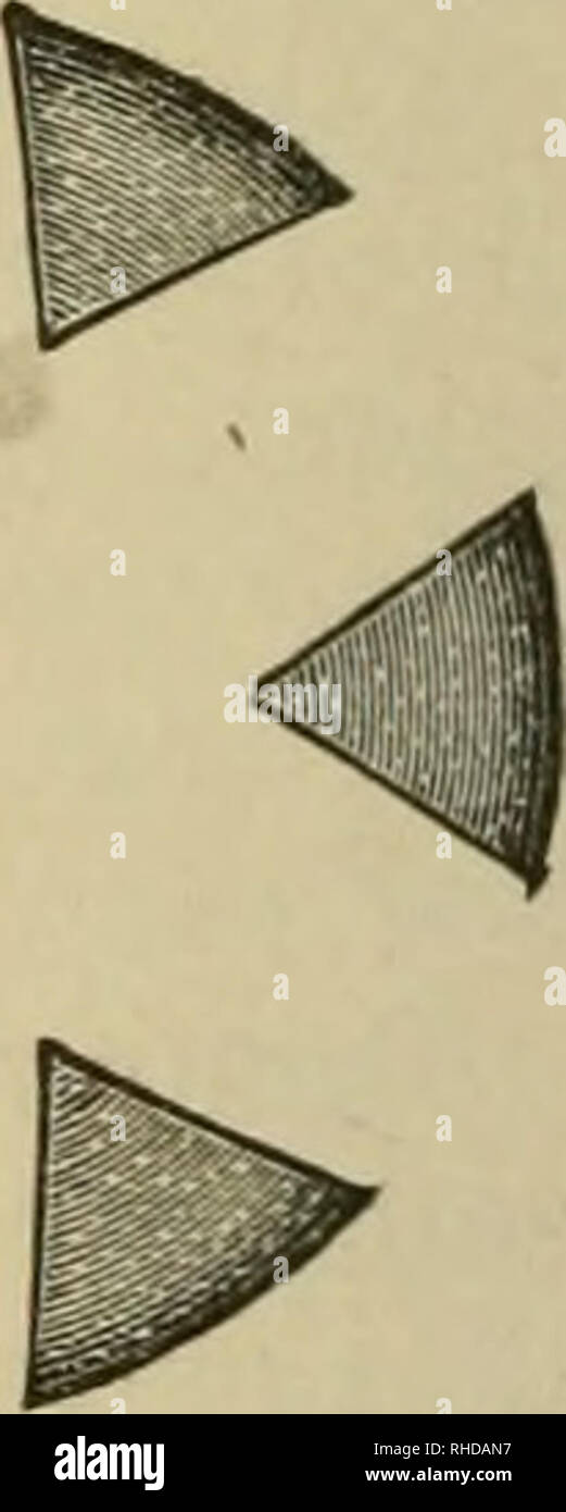 Transverse strips hi-res stock photography and images - Alamy