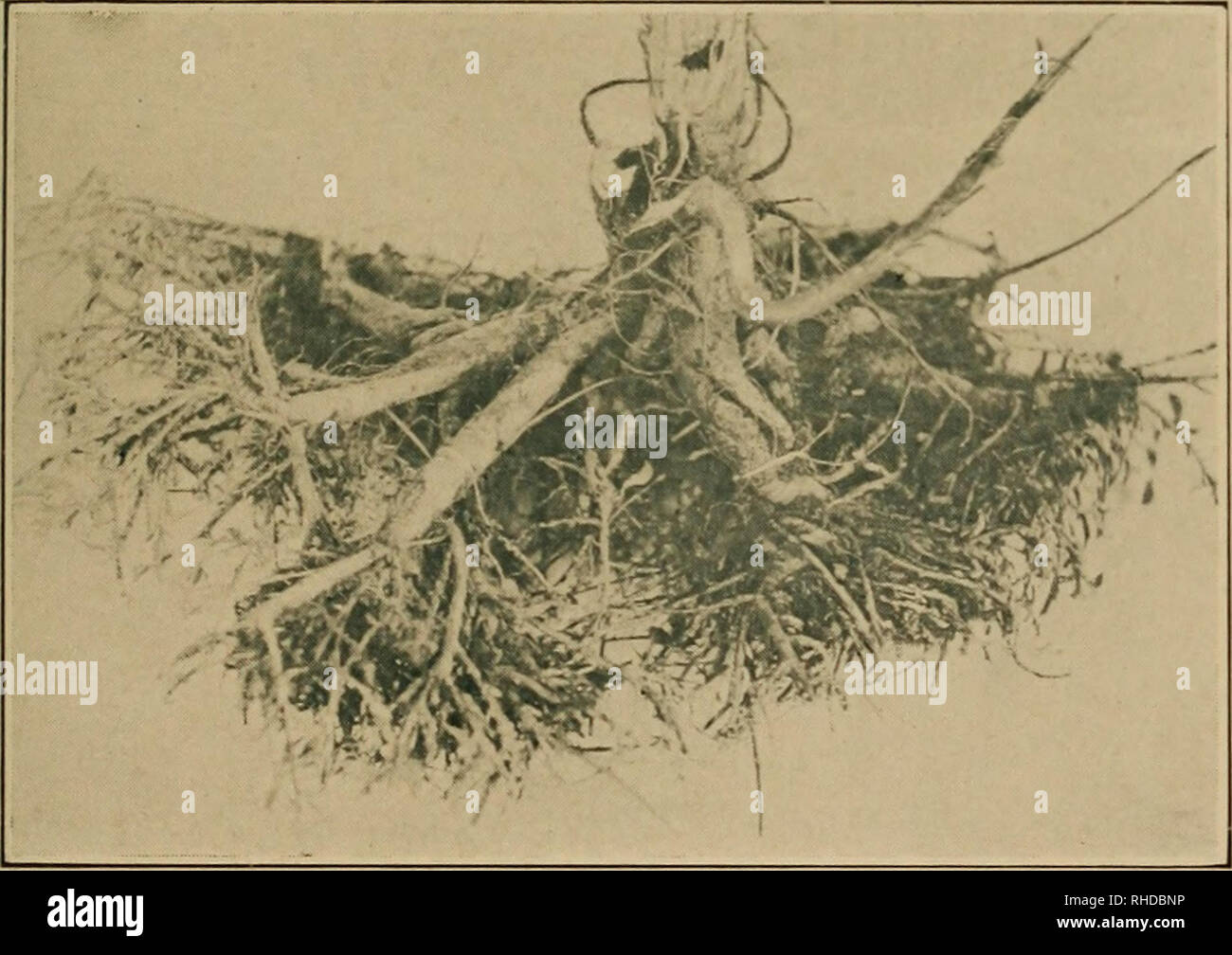 Fertilizer plant in manhattan hi-res stock photography and images - Alamy