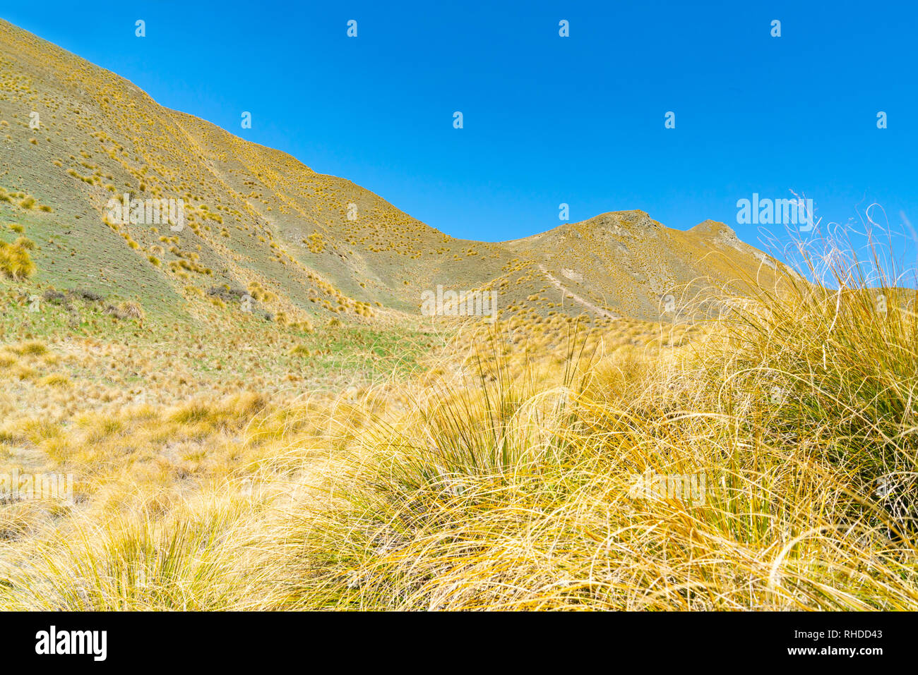 The golden pass route hi-res stock photography and images - Alamy