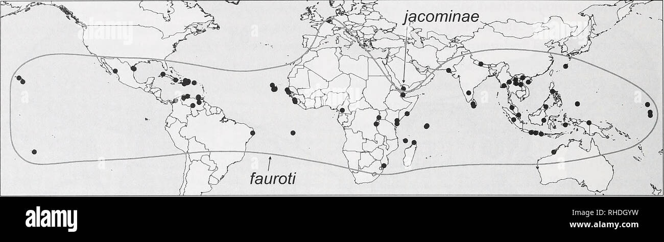 Pantropical distribution hi-res stock photography and images - Alamy