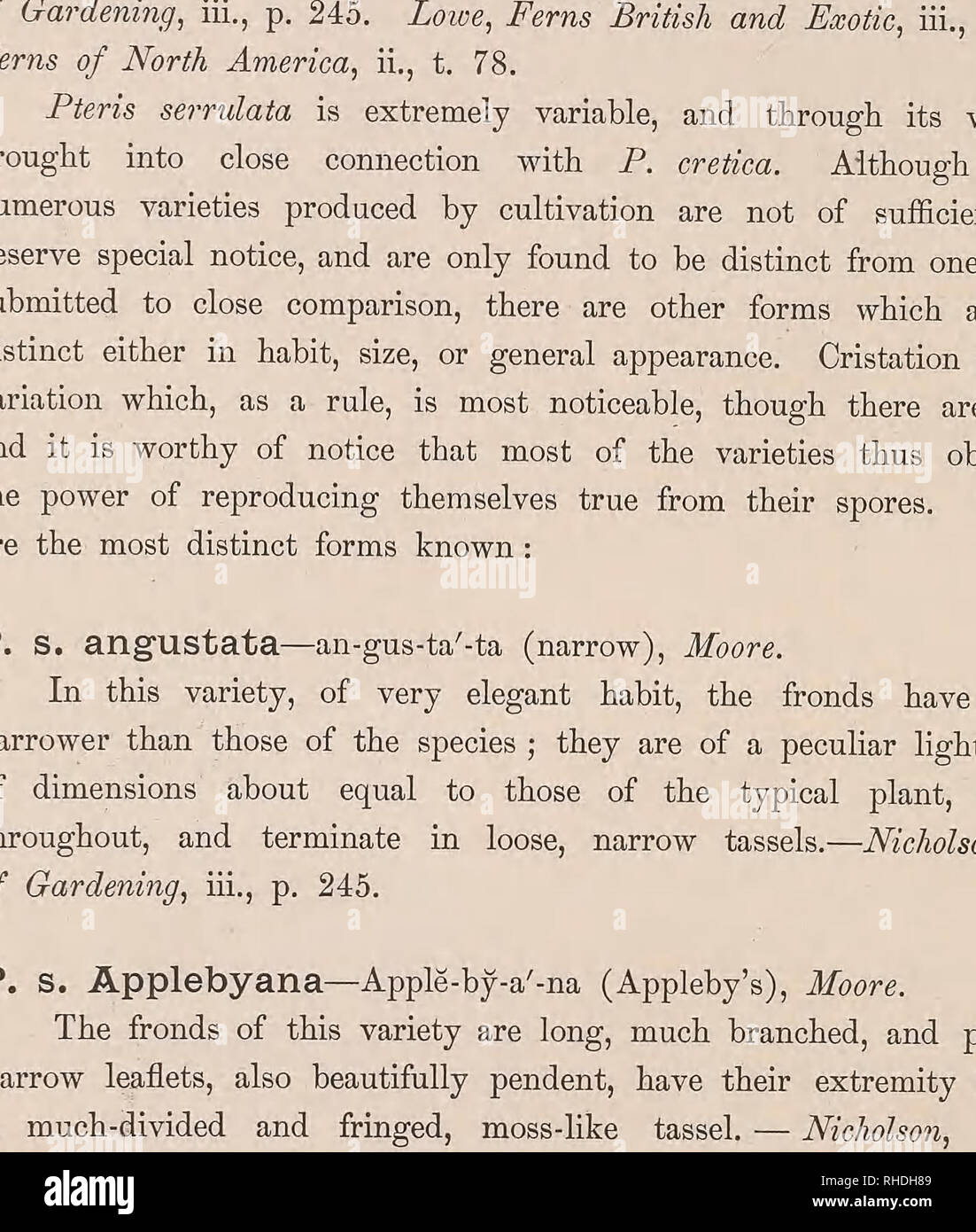 Cristation hi-res stock photography and images - Alamy