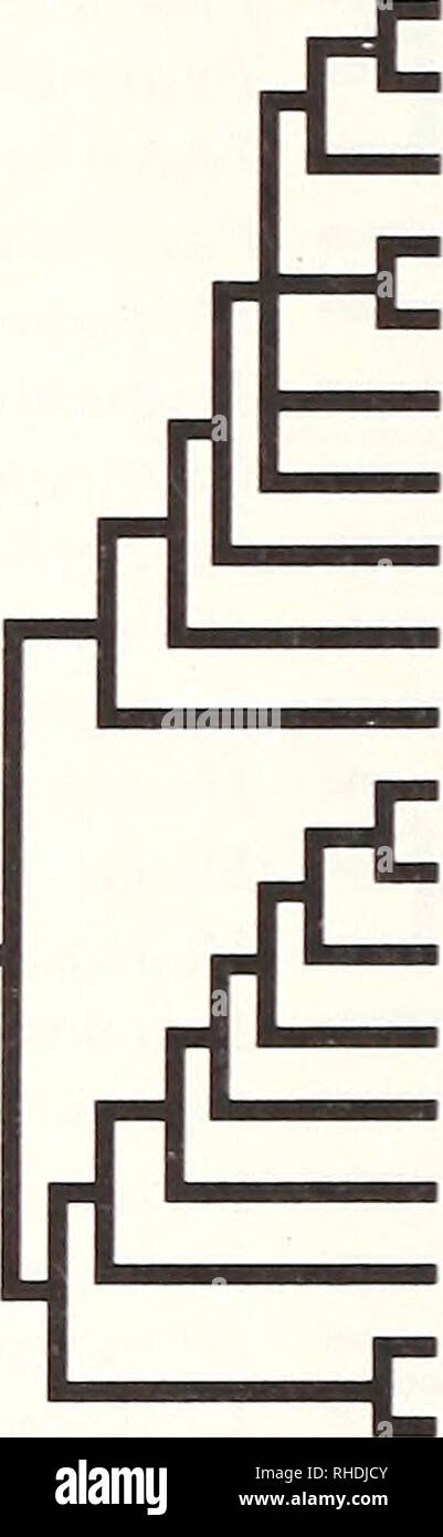 Pusa caspica hi-res stock photography and images - Alamy