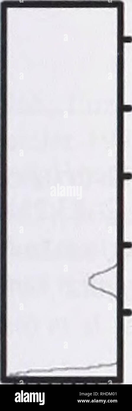 . Bonn zoological bulletin. Zoology. Taxonomy of West African ...