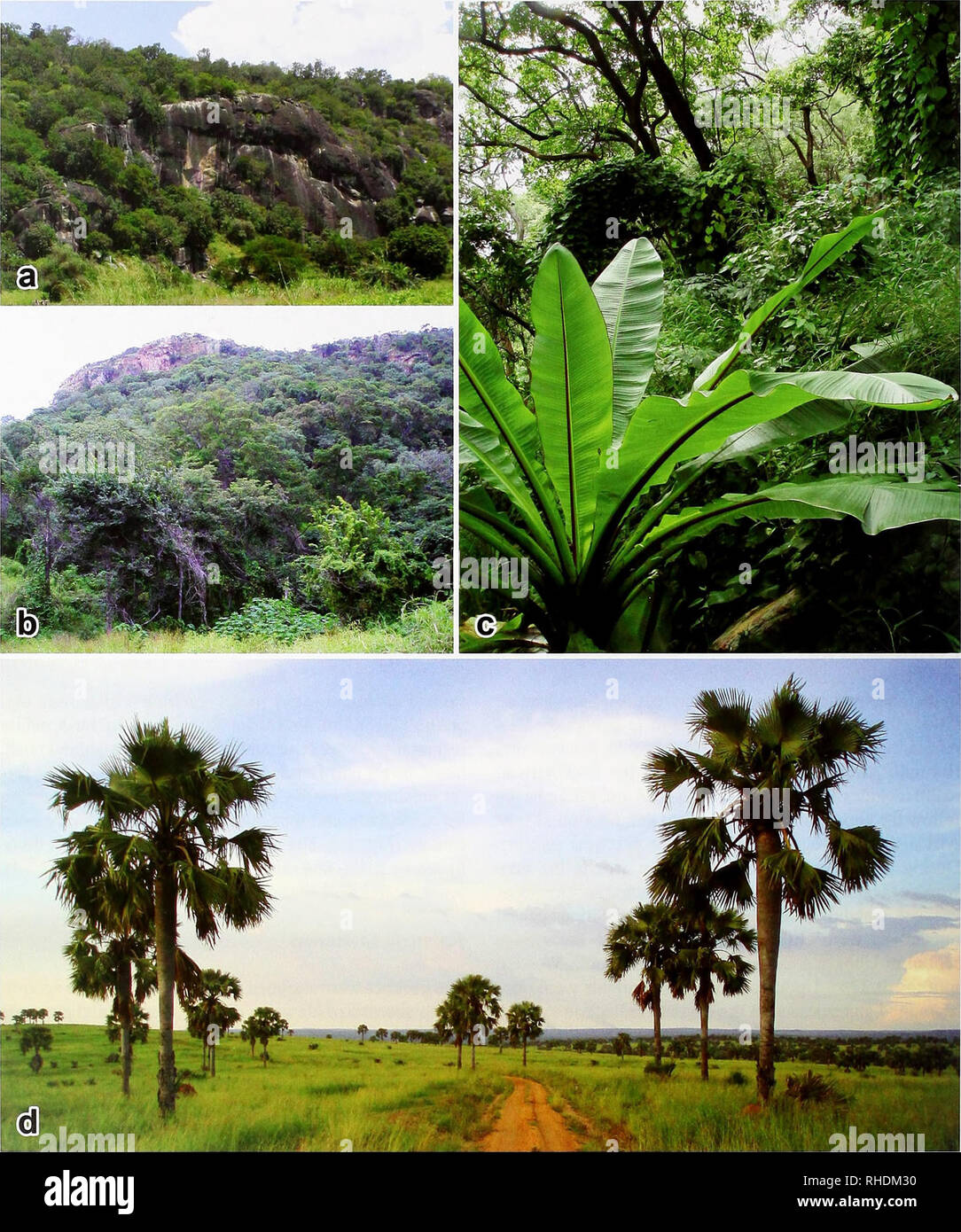 . Bonn zoological bulletin. Zoology. 174 Miloslav Jirku et al.. Fig. 1 ...