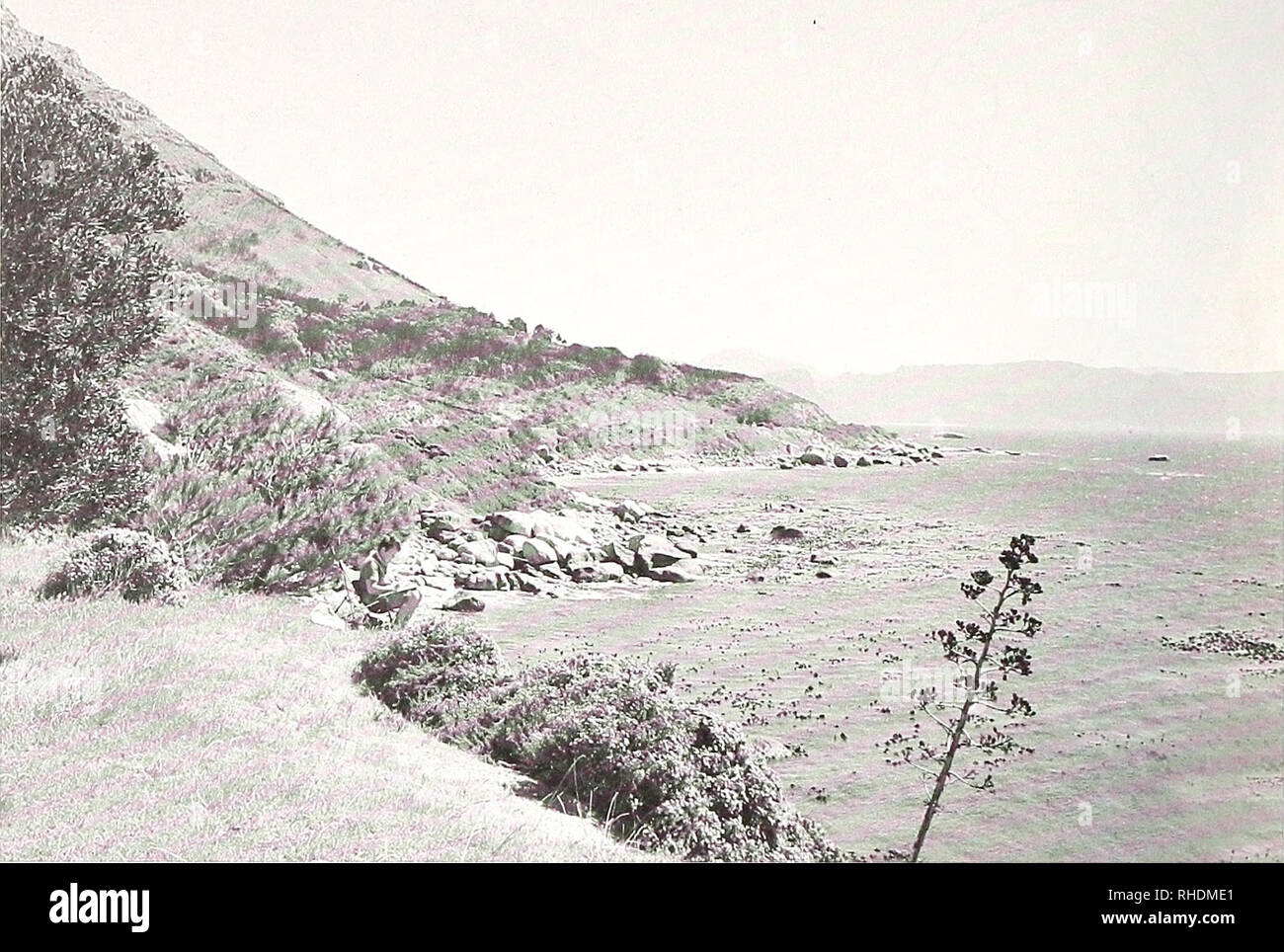 Alien tree south africa hi-res stock photography and images - Alamy