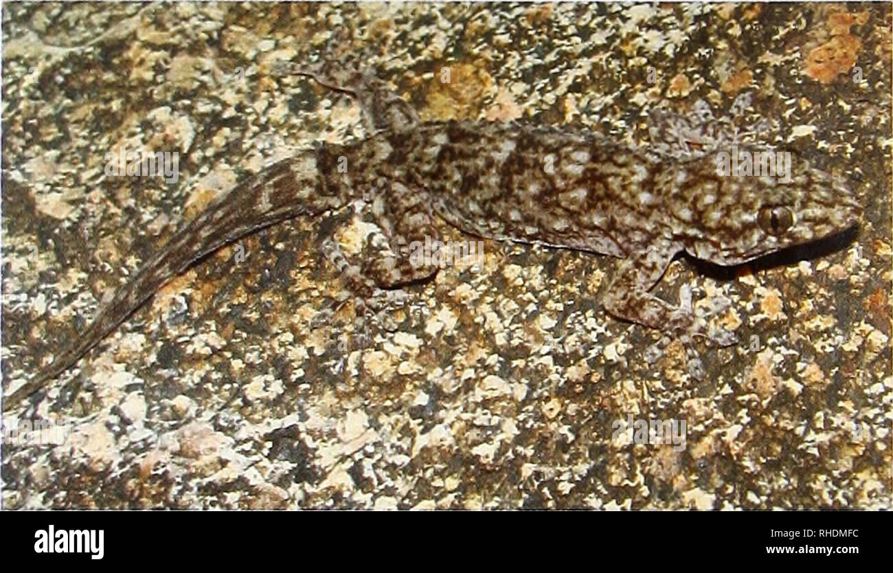 Simandou range hi-res stock photography and images - Alamy