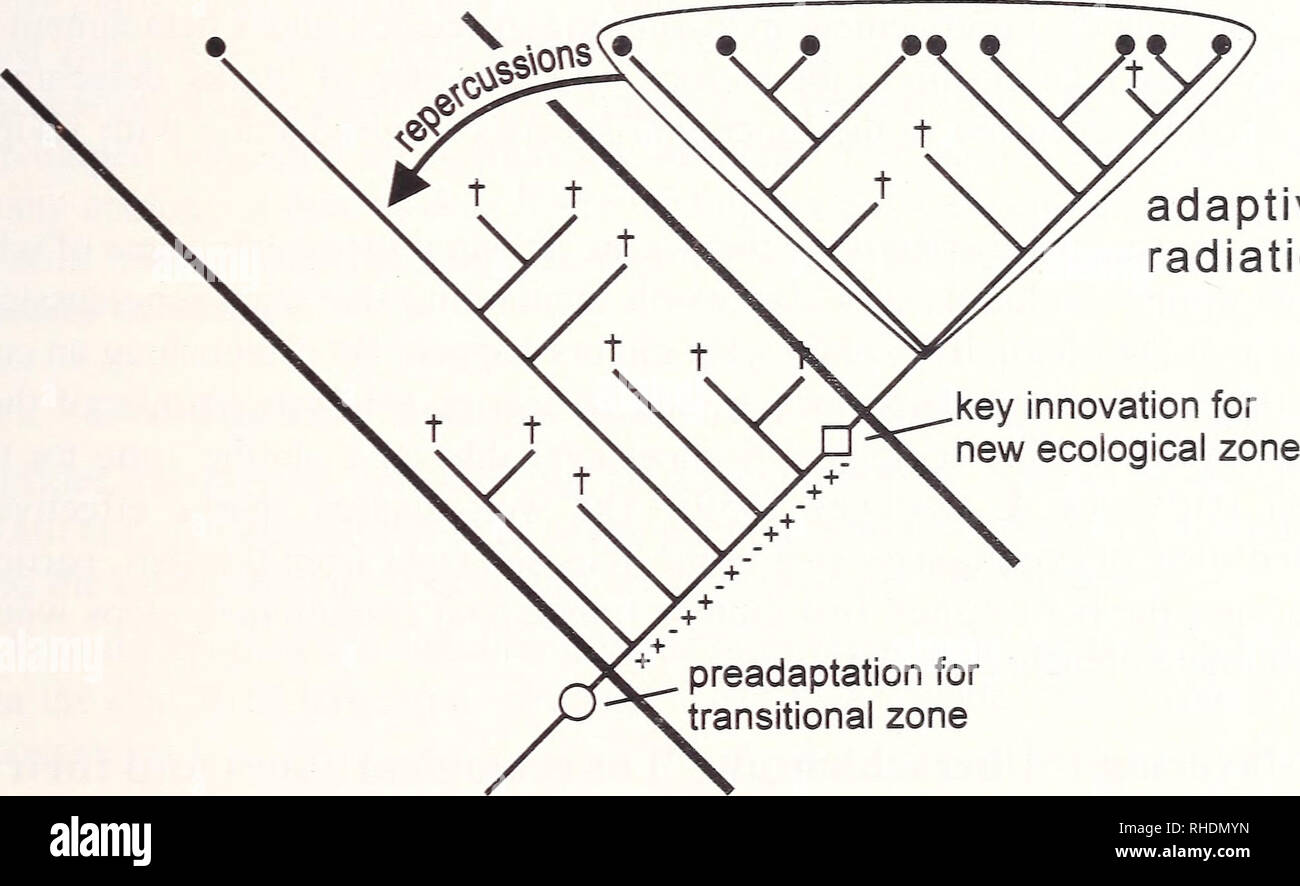 Understanding different fish species hi-res stock photography and ...