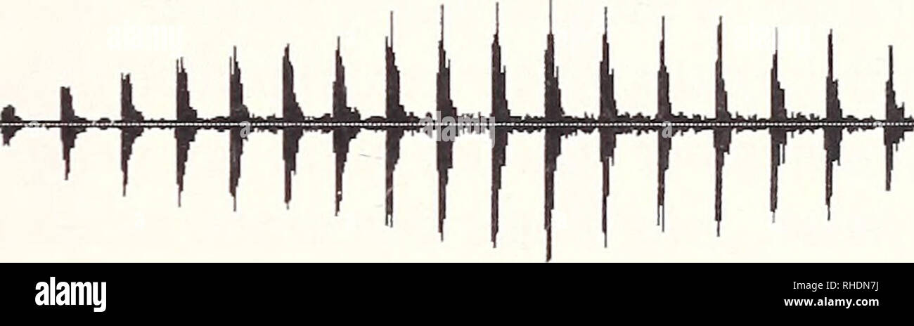 Spectrogram hi-res stock photography and images - Alamy