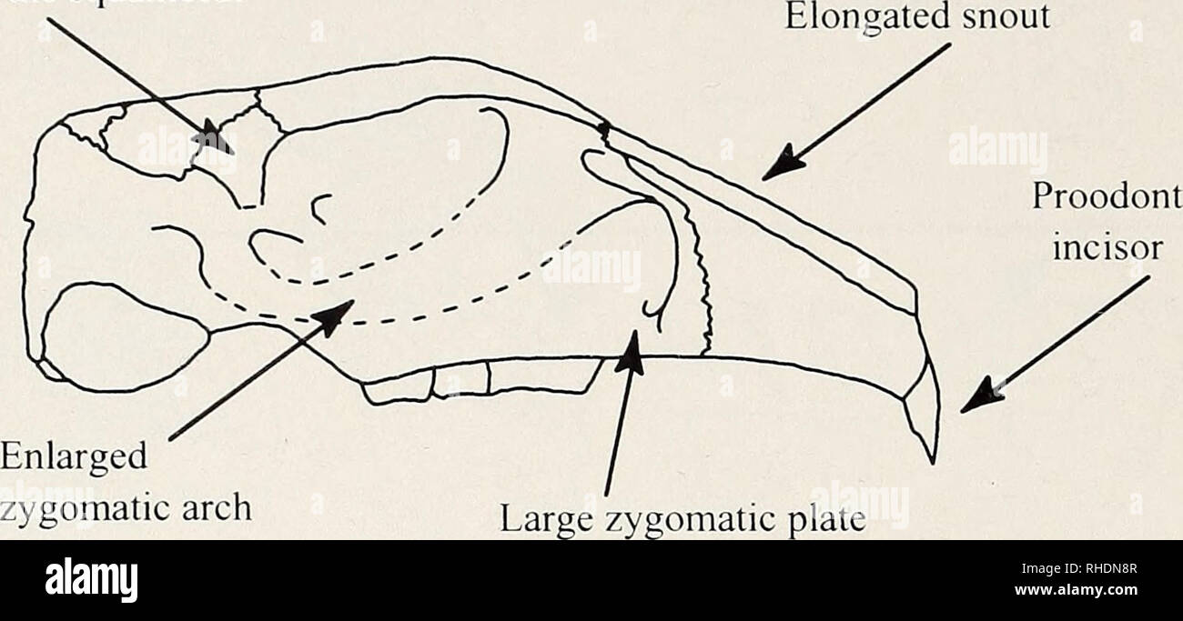Bookcollectionbiodiversity microtia hi-res stock photography and images ...