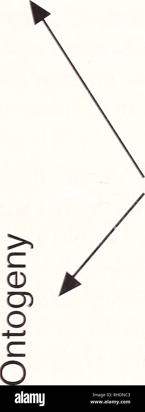 . Bonner zoologische Monographien. Zoology. 65 External environment as ...