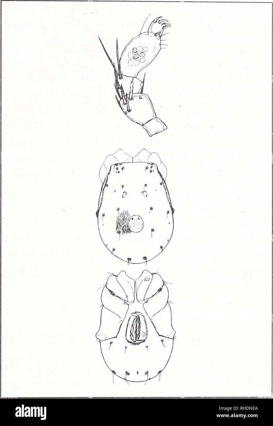 Until more information is available hi-res stock photography and images ...