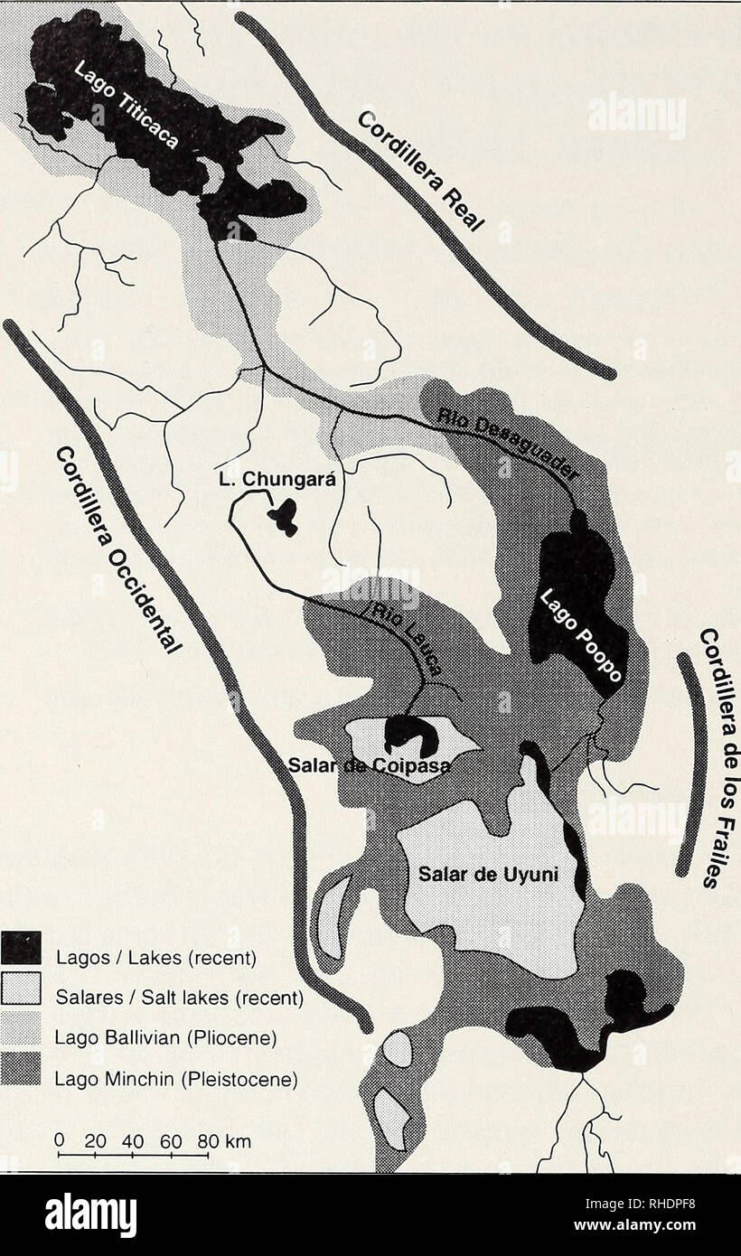Newell map hi-res stock photography and images - Alamy