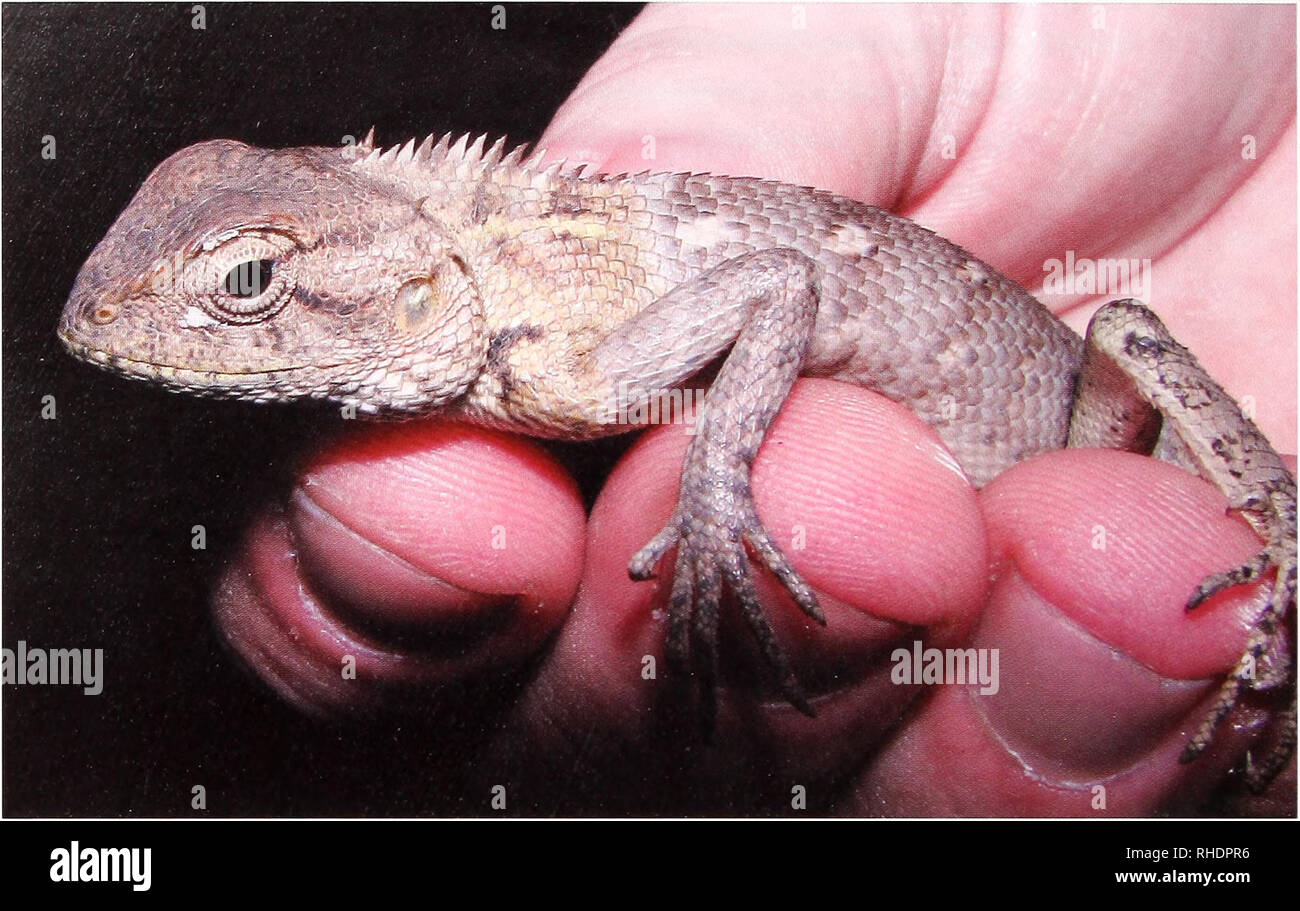 Buccal swab hi-res stock photography and images - Alamy