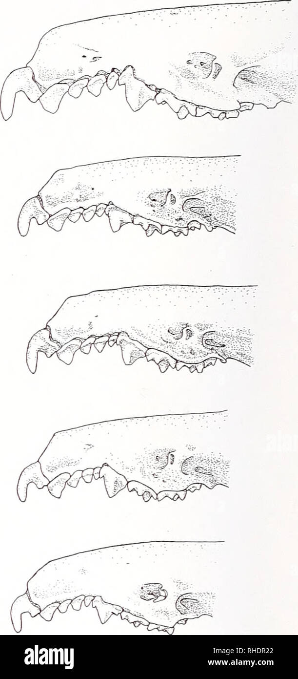 African writing nigeria hi-res stock photography and images - Alamy