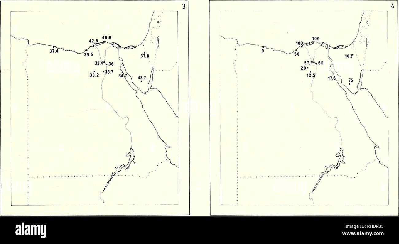 Supraocular scale hi-res stock photography and images - Alamy