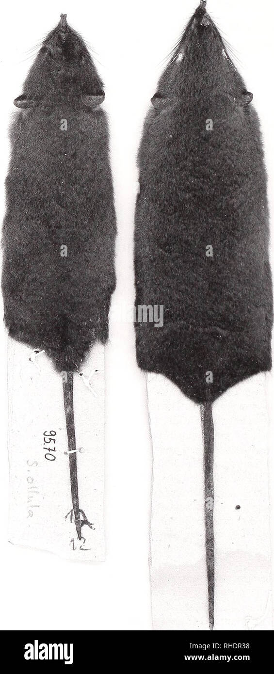 15 06 1996 hi-res stock photography and images - Alamy