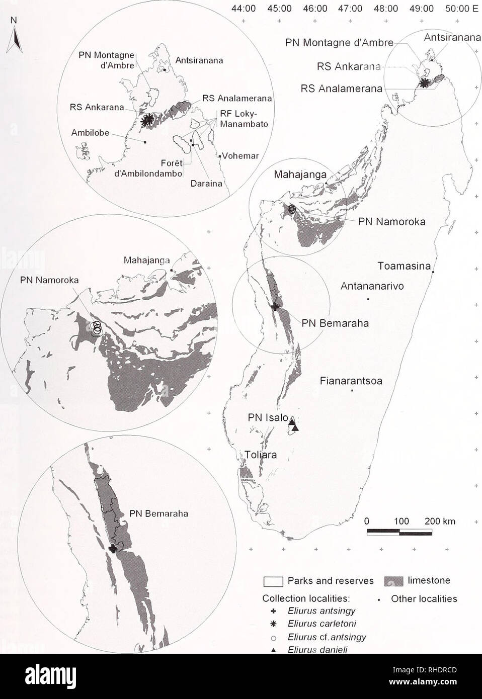 Eliurus hi-res stock photography and images - Alamy