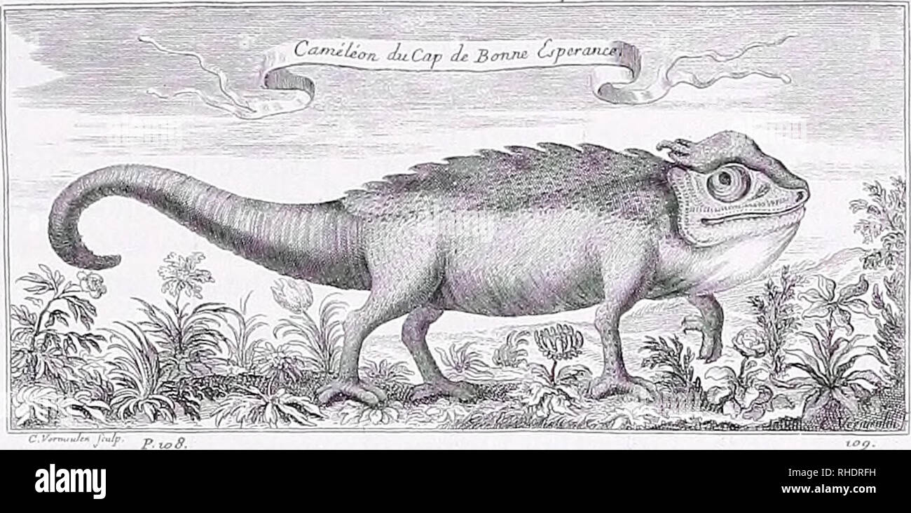 Iziko museum cape town hi-res stock photography and images - Alamy