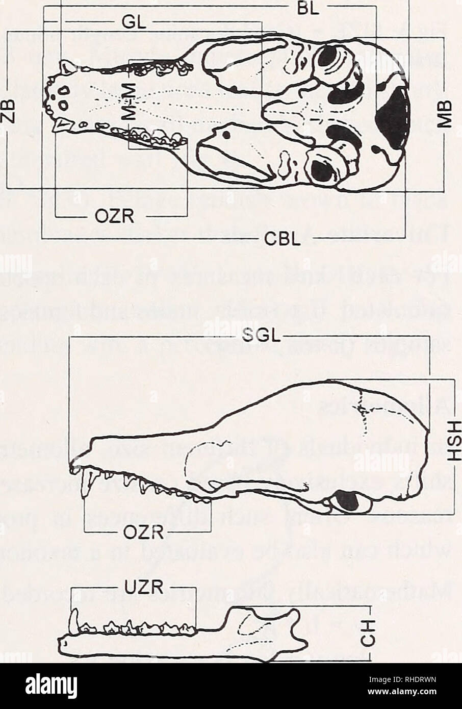 Ozr hi-res stock photography and images - Alamy