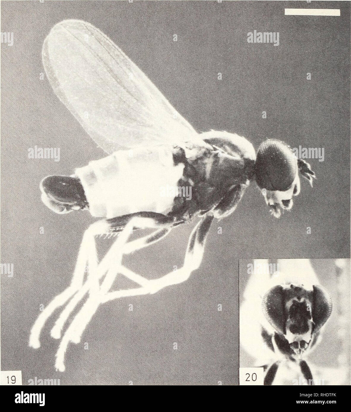 Cuaz hi-res stock photography and images - Alamy