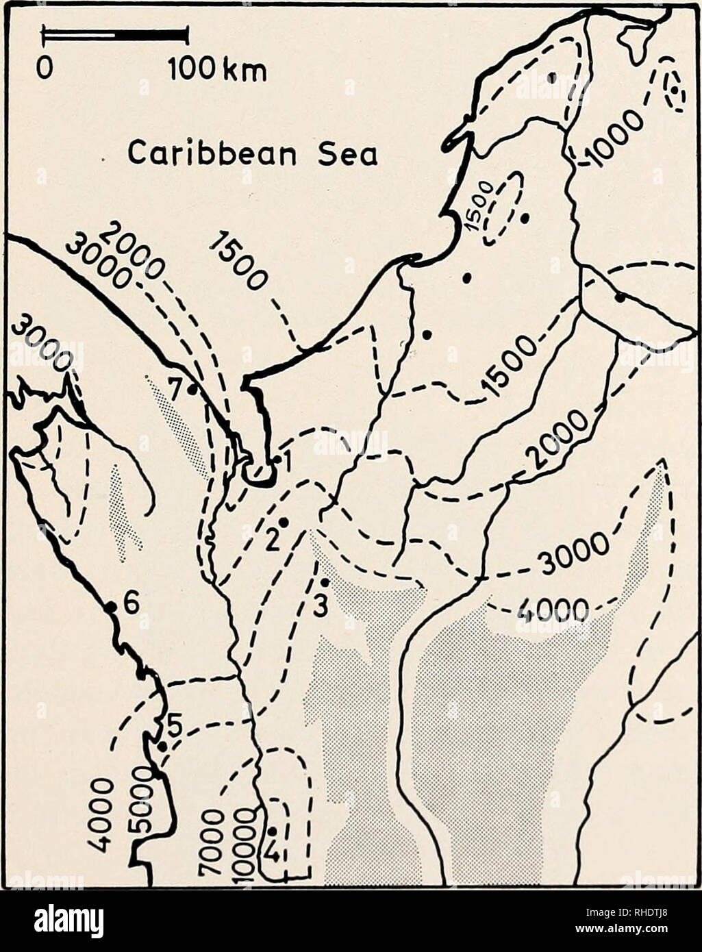 . Bonner zoologische Monographien. Zoology. 13 Schmidt (1952) discussed ...
