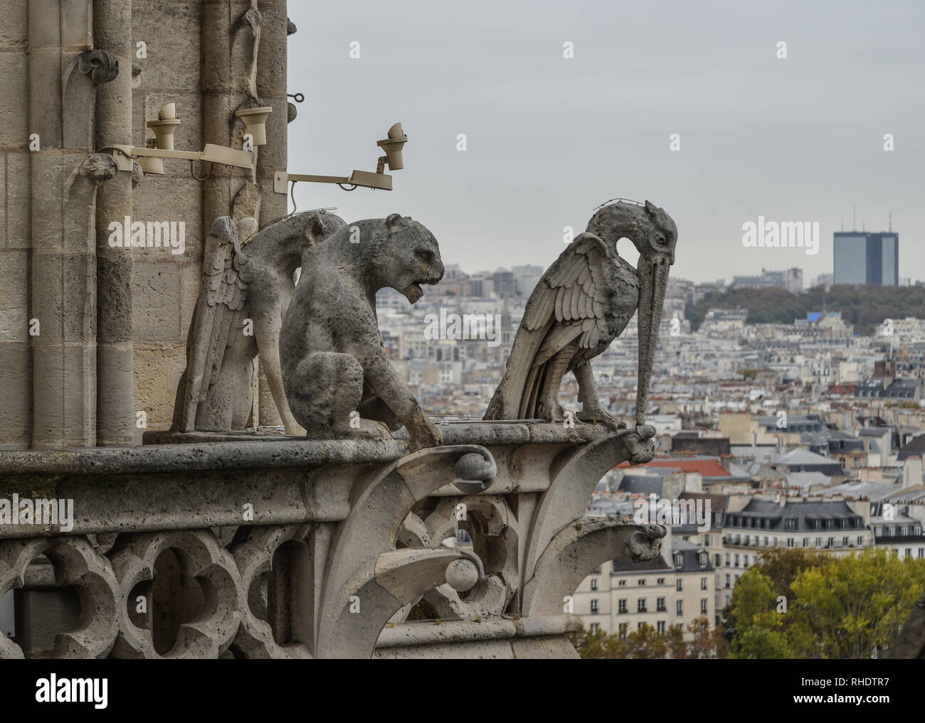 Chimera (Gargoyle) of the Cathedral of Notre Dame de Paris (France ...